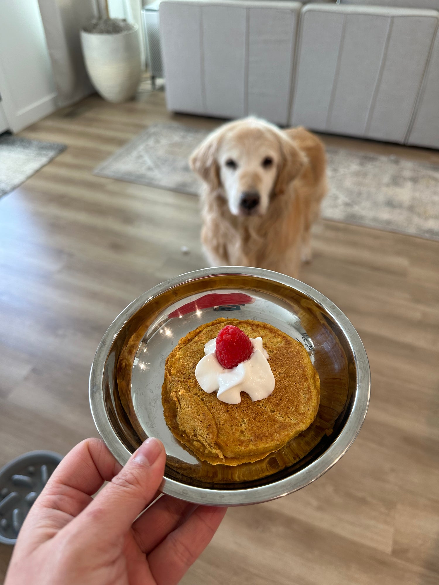 Simple and Healthy Puppy Pancake Recipe (Peanut butter/Oats free ...
