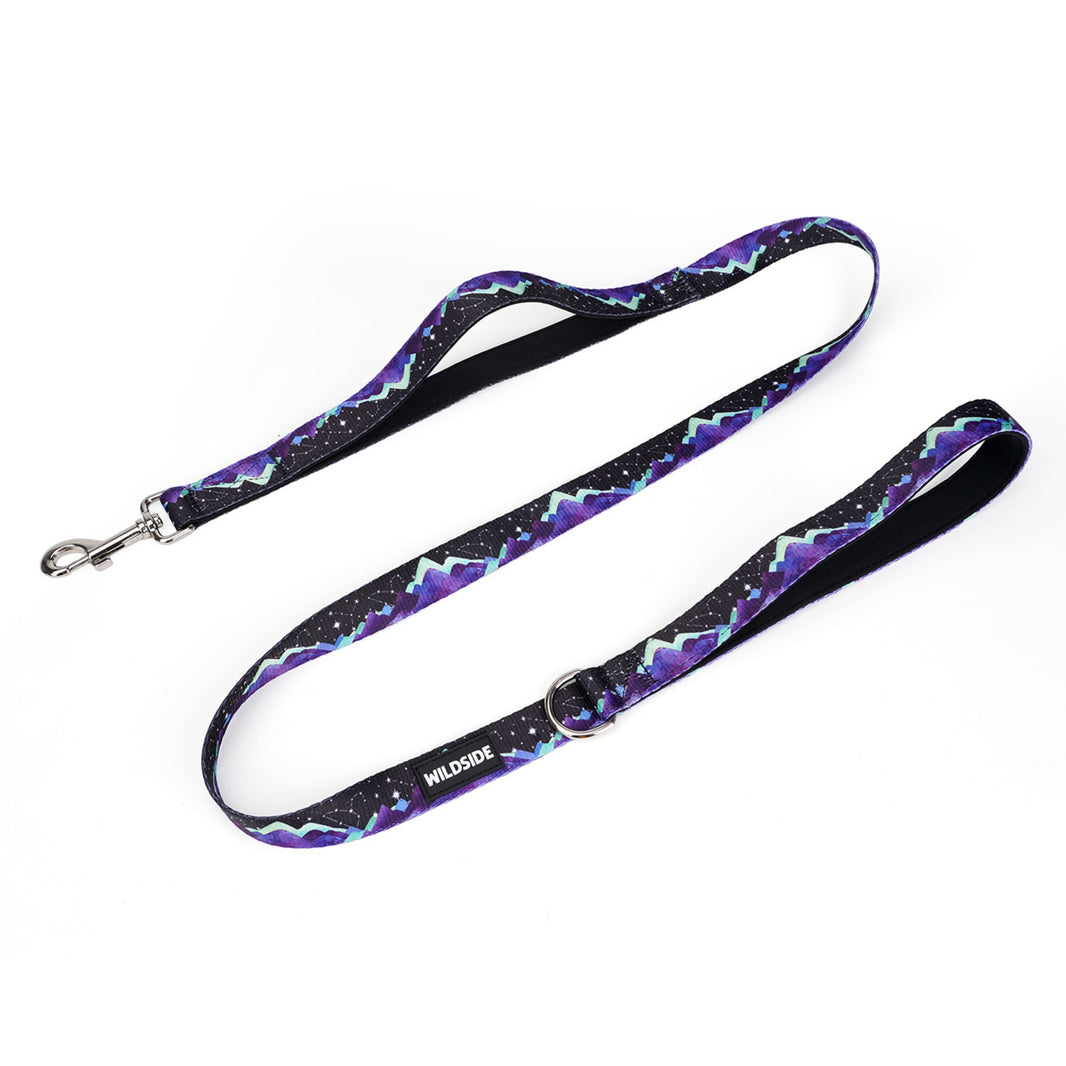 Arctic Summit Explorer – Wildside Dog Gear