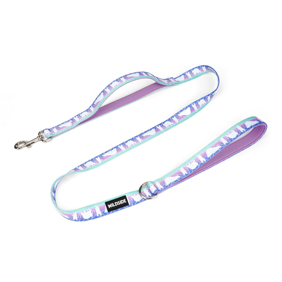 Arctic Summit Explorer – Wildside Dog Gear