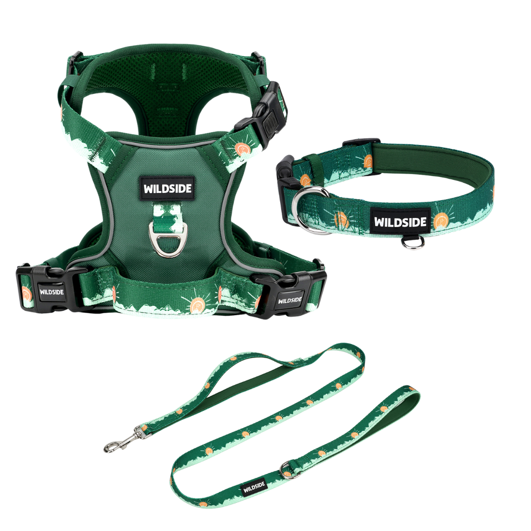 Tahoma Peak Click N' Go Harness Bundle – Wildside Dog Gear