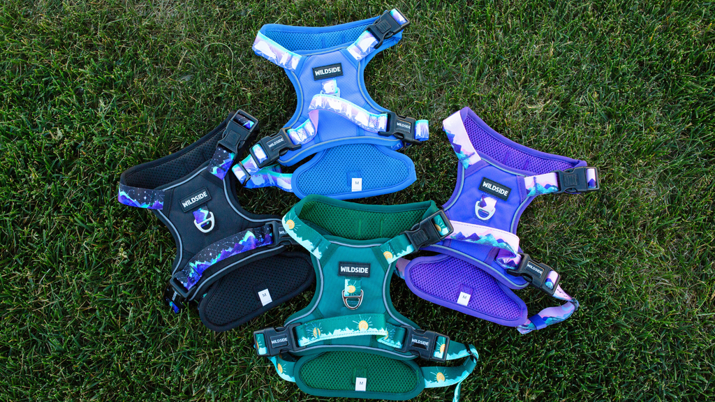 Comprehensive Guide to Front Clip Dog Harnesses: Benefits and Recommen ...